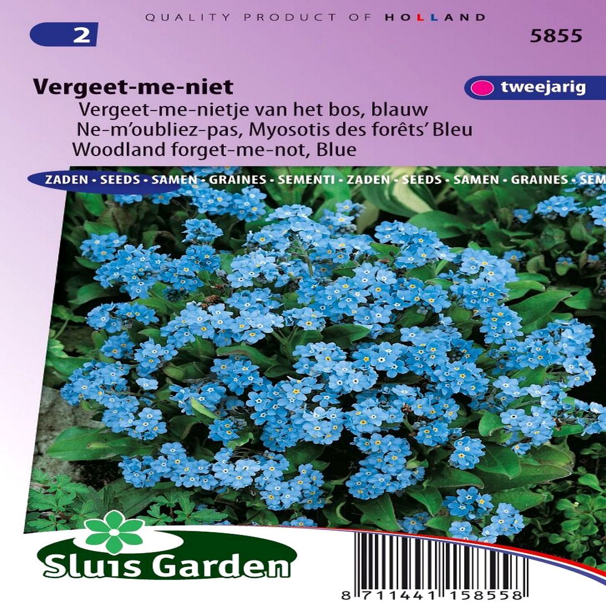Forget me Not Woodland Indigo Blue forget-me-not-woodland-indigo-blue